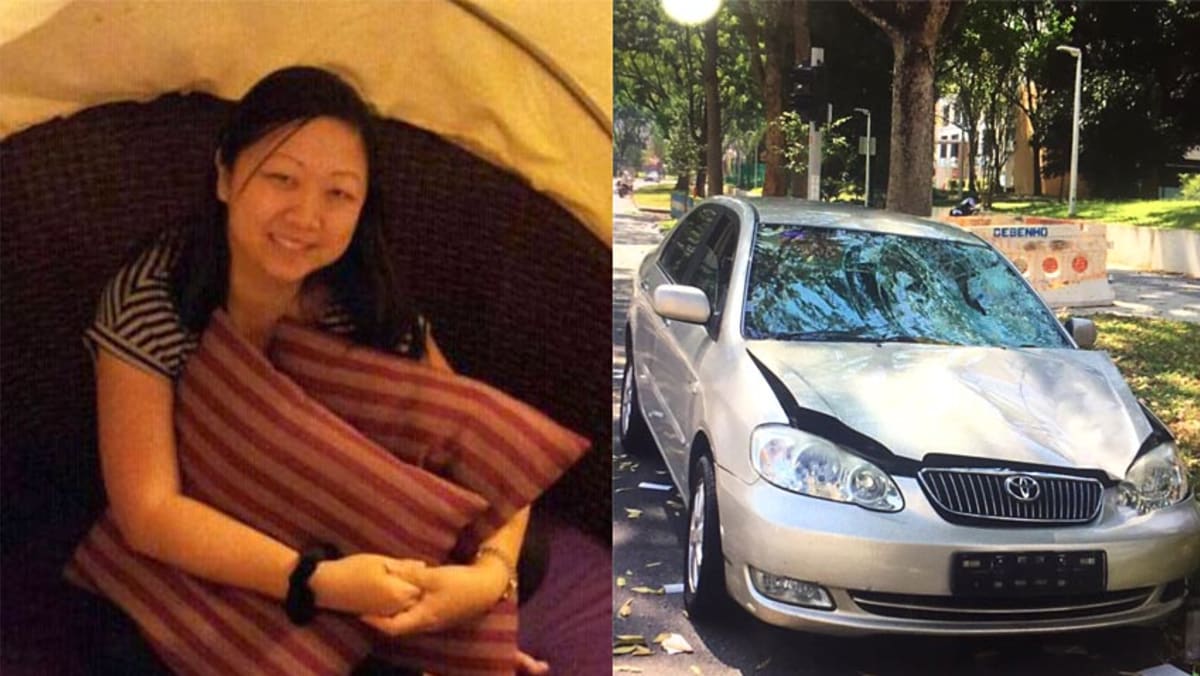Sleepy driver who killed pedestrian jailed 3 months, banned from ...