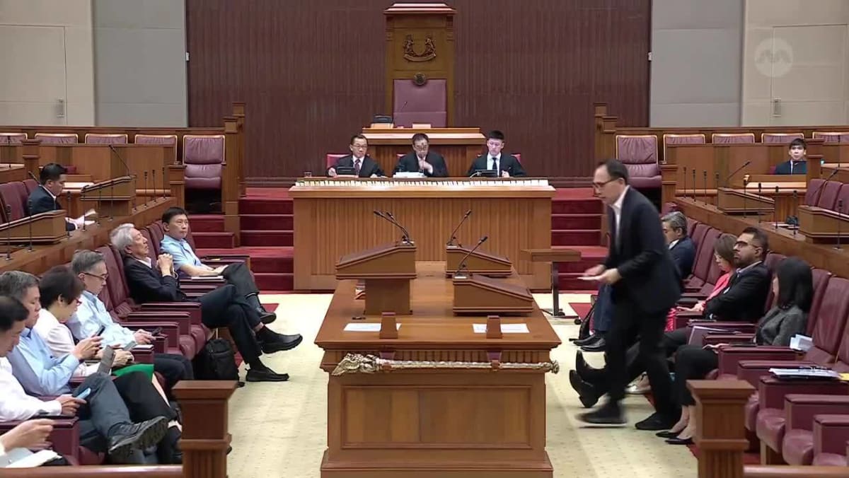 Committee of Supply 2025 debate, Day 5: Gan Kim Yong, Alvin Tan, Low ...