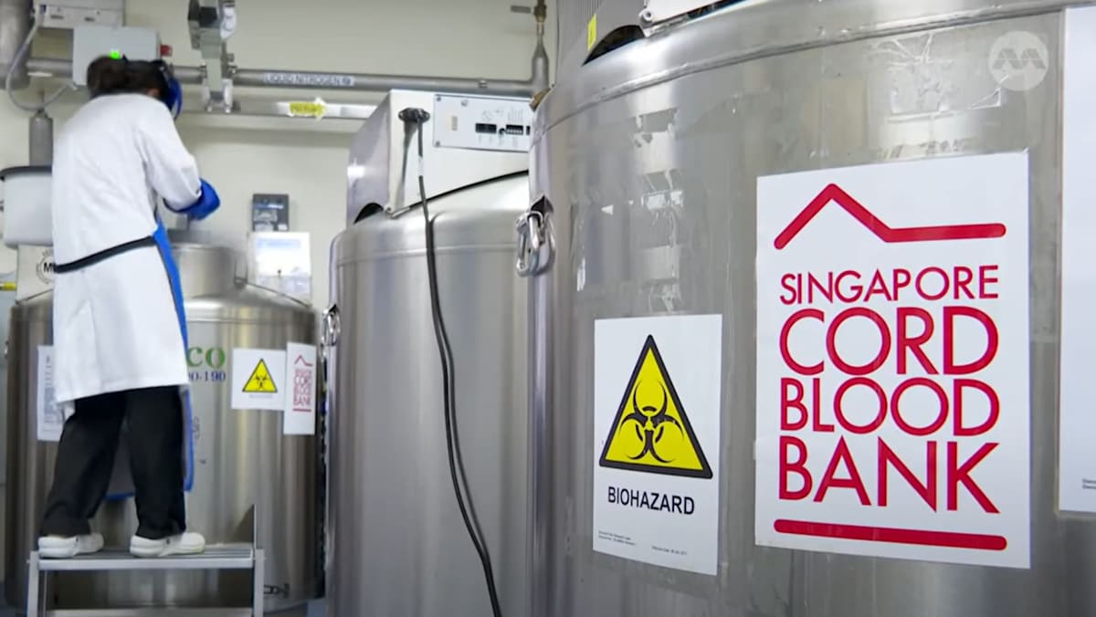 Singapore’s public cord blood bank faces donor shortage despite rise in ...