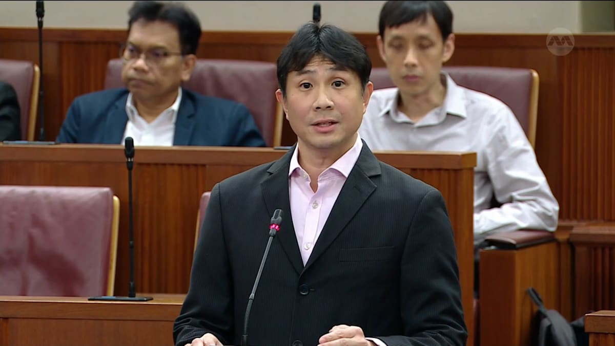 Jamus Lim on motions for grants to support IMF trusts - CNA