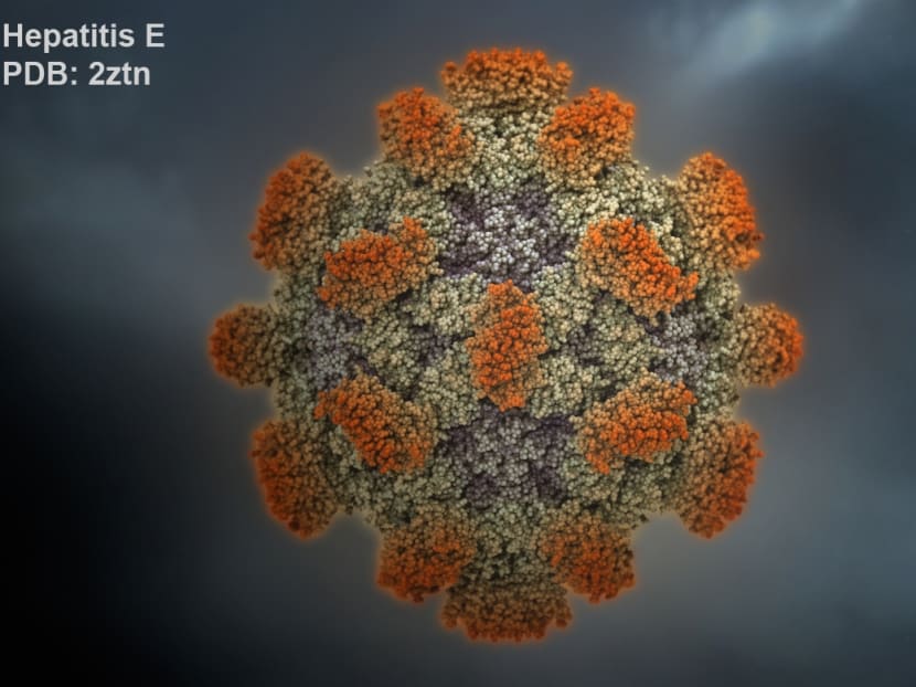 hepatitis virus e