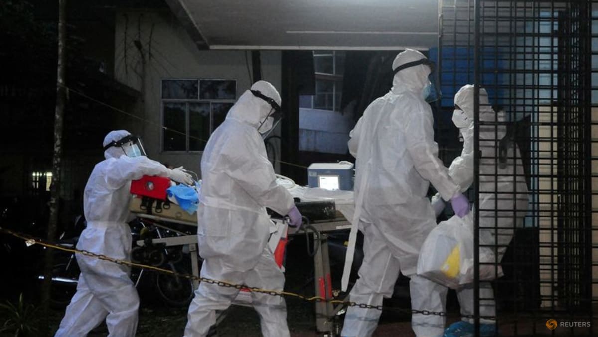 WHO says Nipah virus risk low in India with no sign of spread - CNA