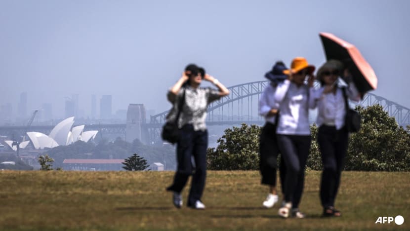 2025 on track to tie second-hottest year on record: EU monitor - CNA