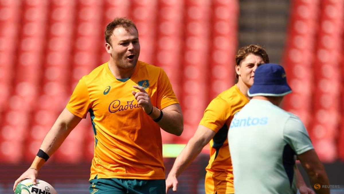 Australia enjoy underdog status, says captain - CNA