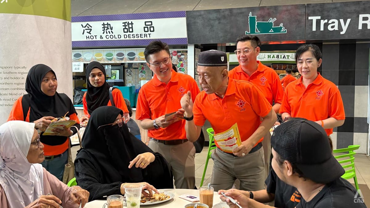 GE2025: Line must be drawn between opposition unity and party interests, says NSP chief - CNA