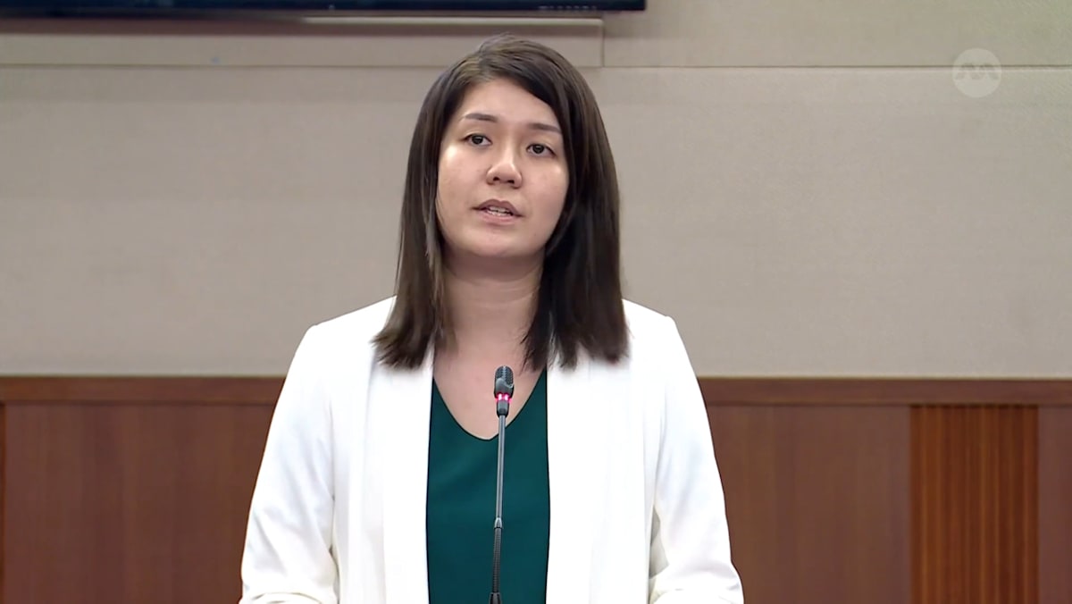 Lee Hui Ying on Civil Aviation Authority of Singapore (Amendment) Bill ...