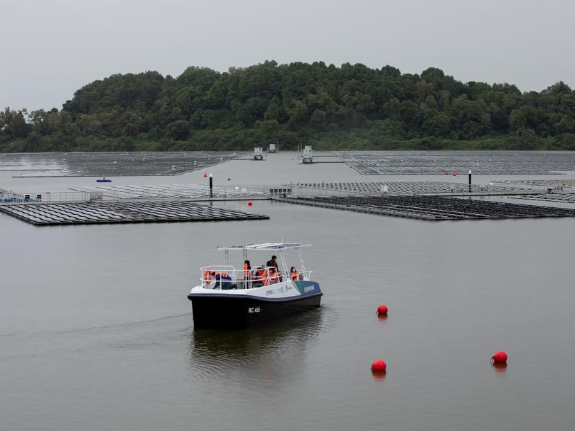 Tengeh Reservoir floating solar farm opens with 122,000 panels that will power S'pore's 5 water ...