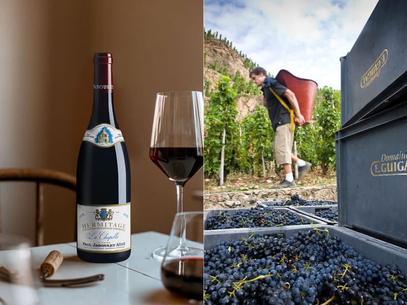 Rhone reds: Guide to syrah wine