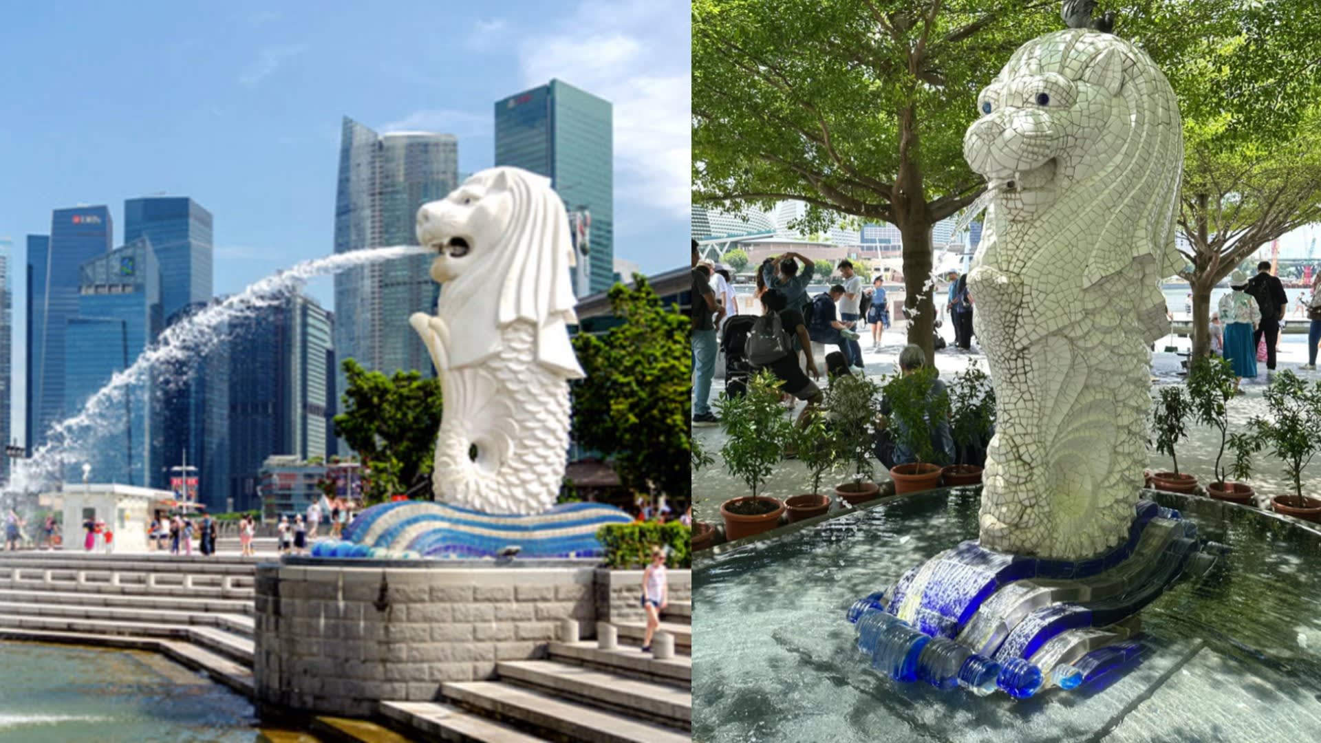 Tourist Says She’s “A Little Disappointed” After Seeing Merlion Statue ...