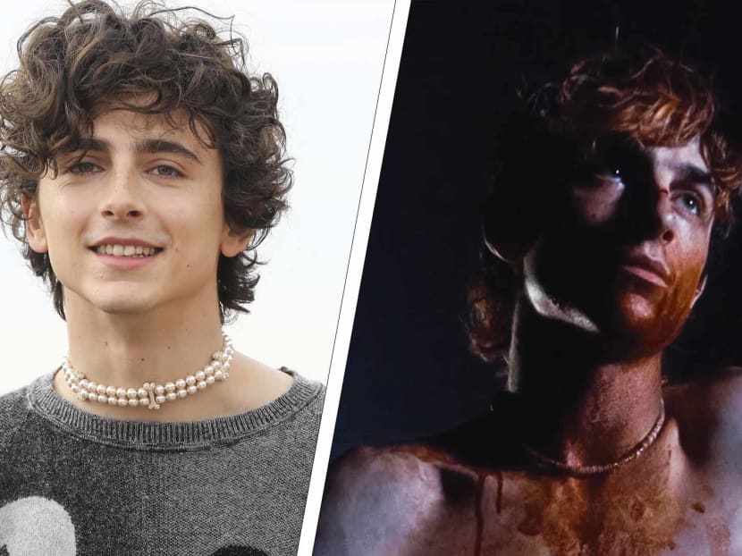 Timothee Chalamet Ate Cherries, Fruit Roll-Ups For Cannibal Scenes In ...
