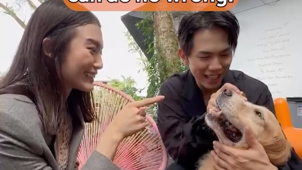 How long will dog actors Rambo and Binky stay for treats? - 8days