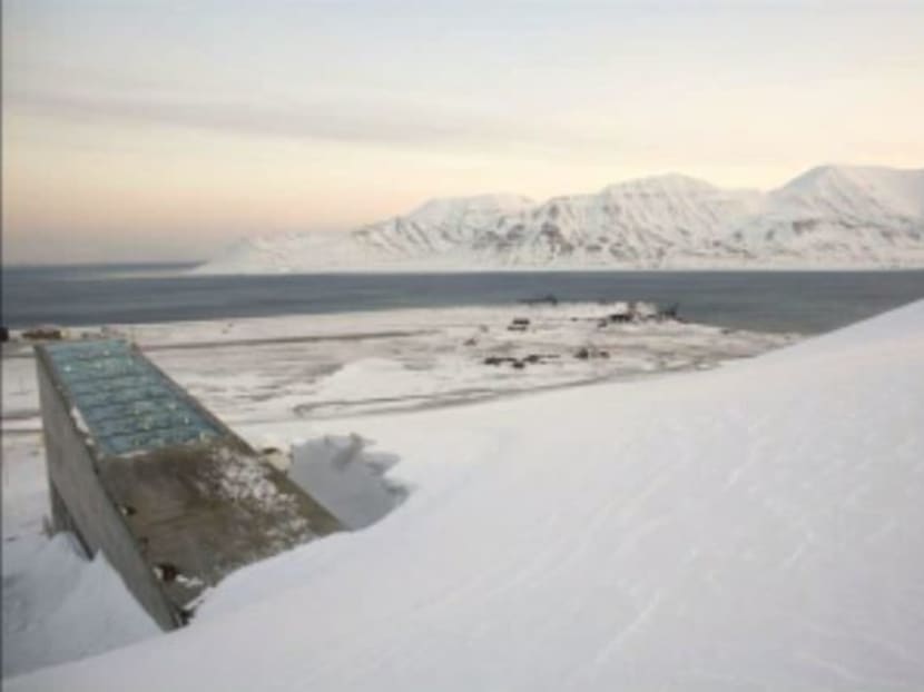 'Frozen Ark' collects animal DNA in face of mass extinction - TODAY