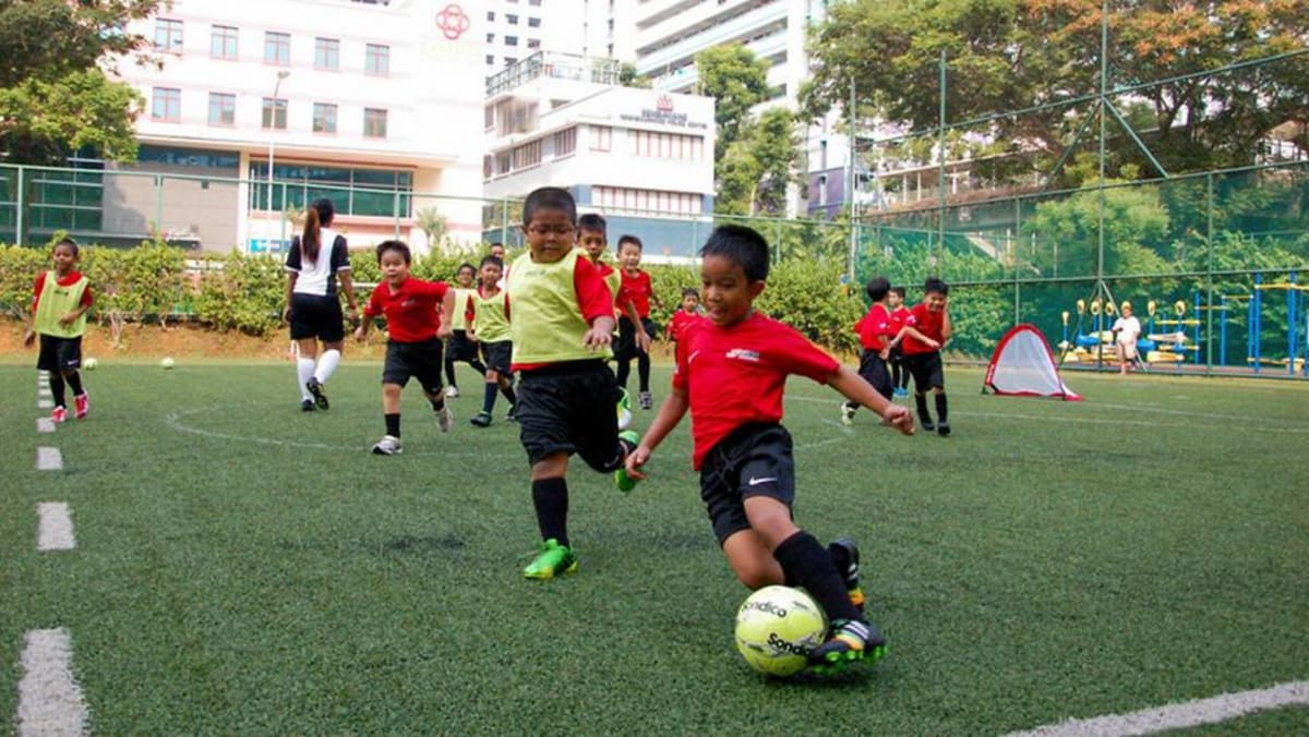 New youth league, academy accreditation system among initiatives by FAS ...