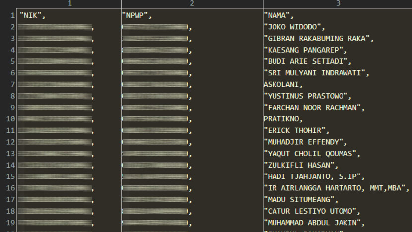 6 juta data NIK NPWP bocor termasuk Jokowi, Gibran, dan Sri Mulyani ...