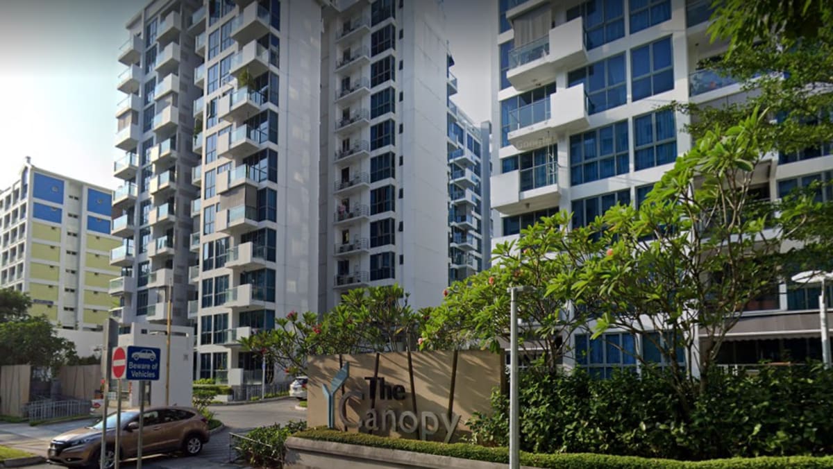 Judge tosses condo council members' defamation claim against chairman ...