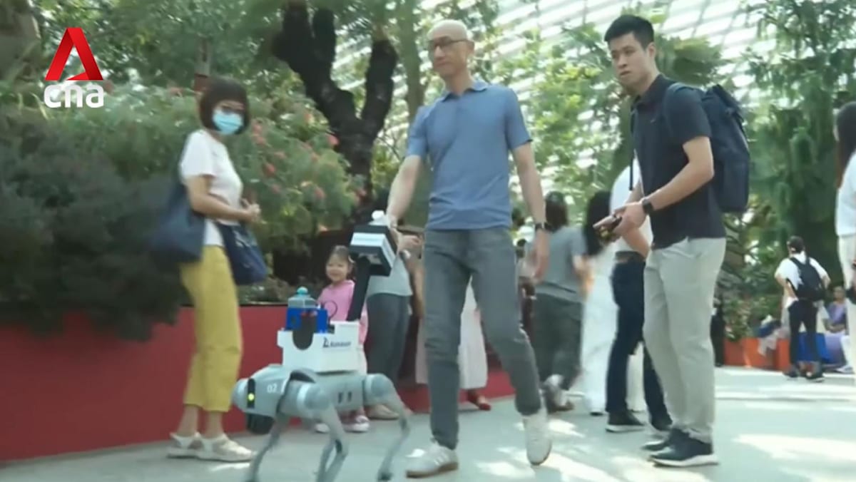 Robot guide dog among inclusive innovations to help visitors with ...