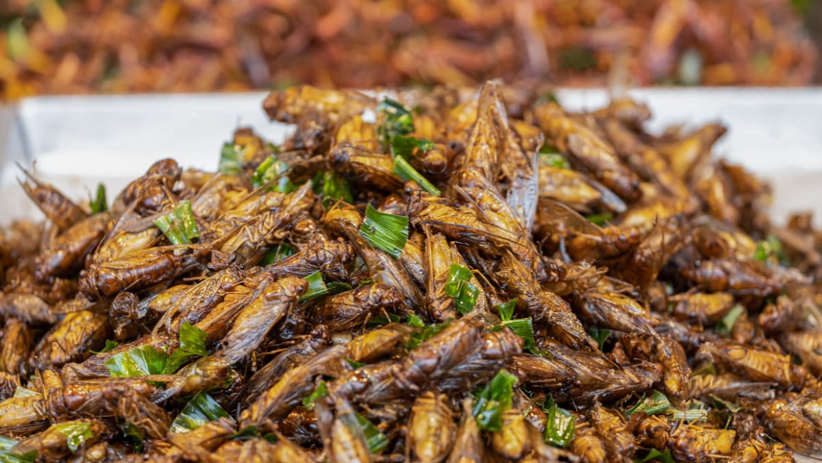 Grasshoppers and superworms among 16 insect species approved as food in ...