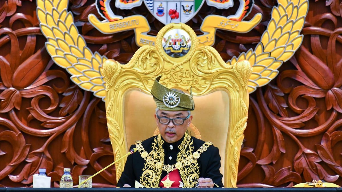 Malaysia election: King urges political parties and their supporters to ...