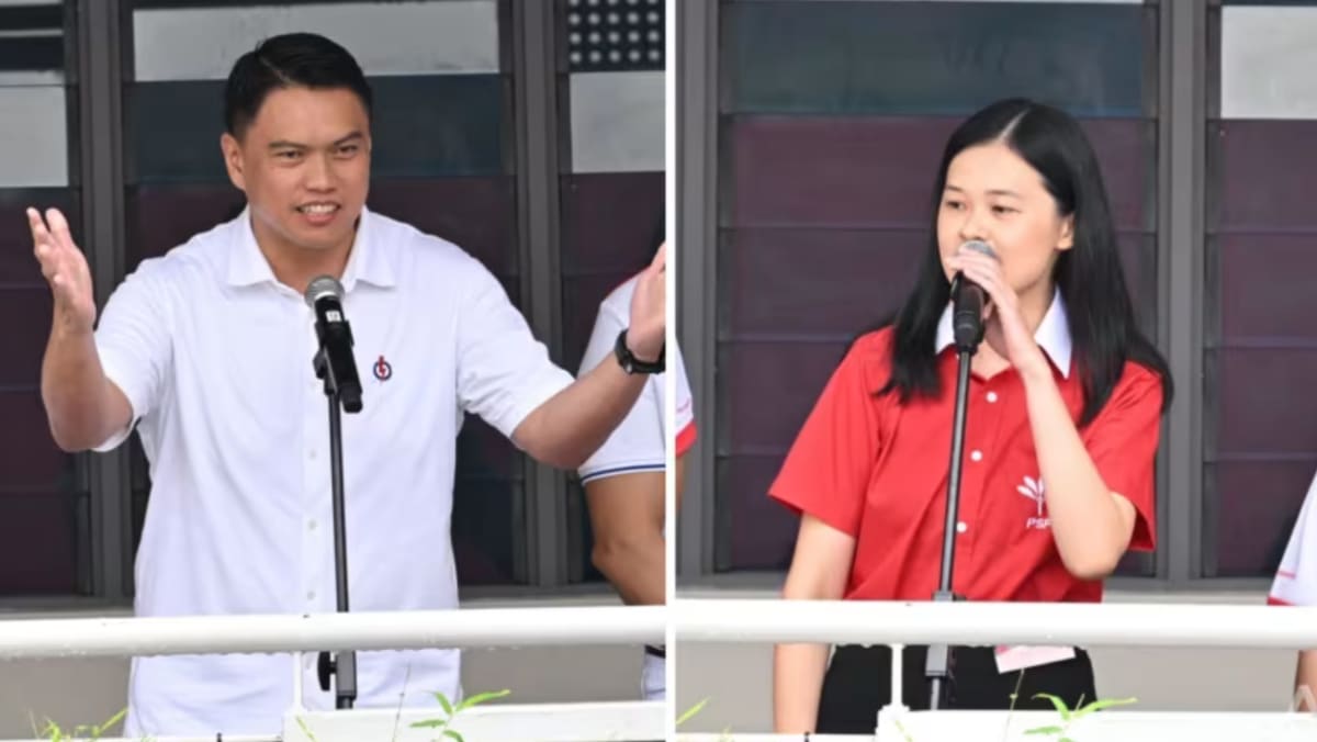 GE2025: Calon PAP Patrick Tay akan menentang Stephanie Tan dari PSP di SMC Pioneer - BERITA ...
