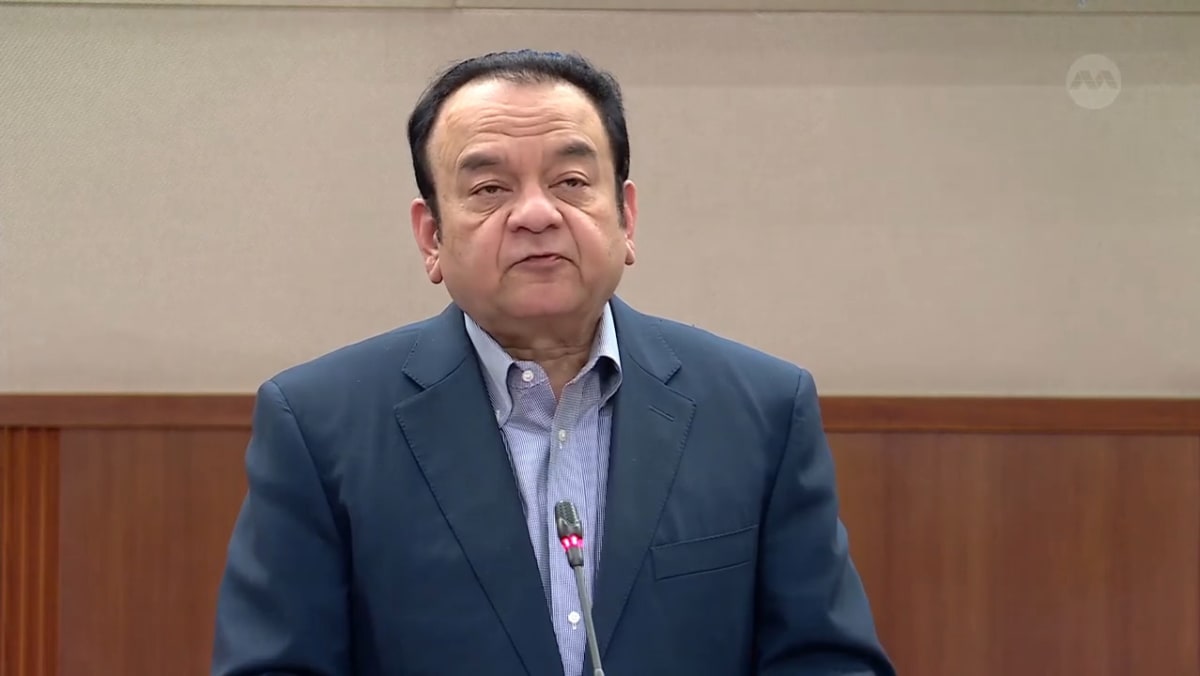 Committee of Supply 2025 debate, Day 4: Neil Parekh Nimil Rajnikant on ...