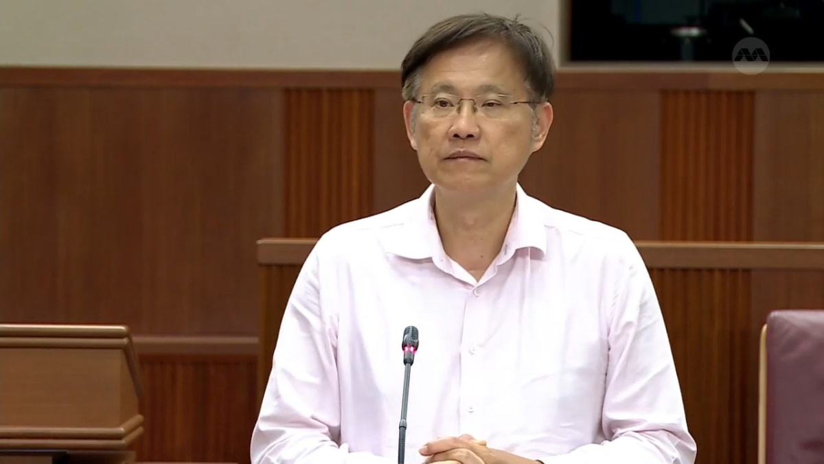 Gan Thiam Poh on Protection from Scams Bill - CNA