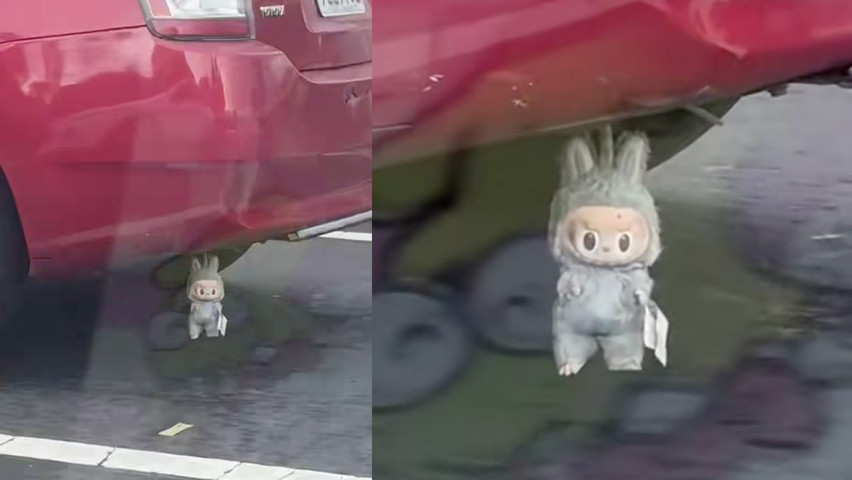 Driver Hangs Labubu Doll On Car’s Rear Bumper, Heartbroken Netizens ...