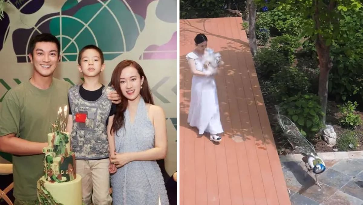 Chinese stars criticised for showing off Beijing mansion where they ...