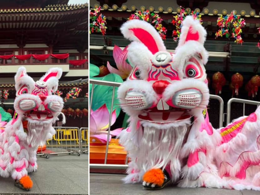 S’pore Lion Dance Troupe Trots Out Adorable Rabbit-Themed Lion Dance ...