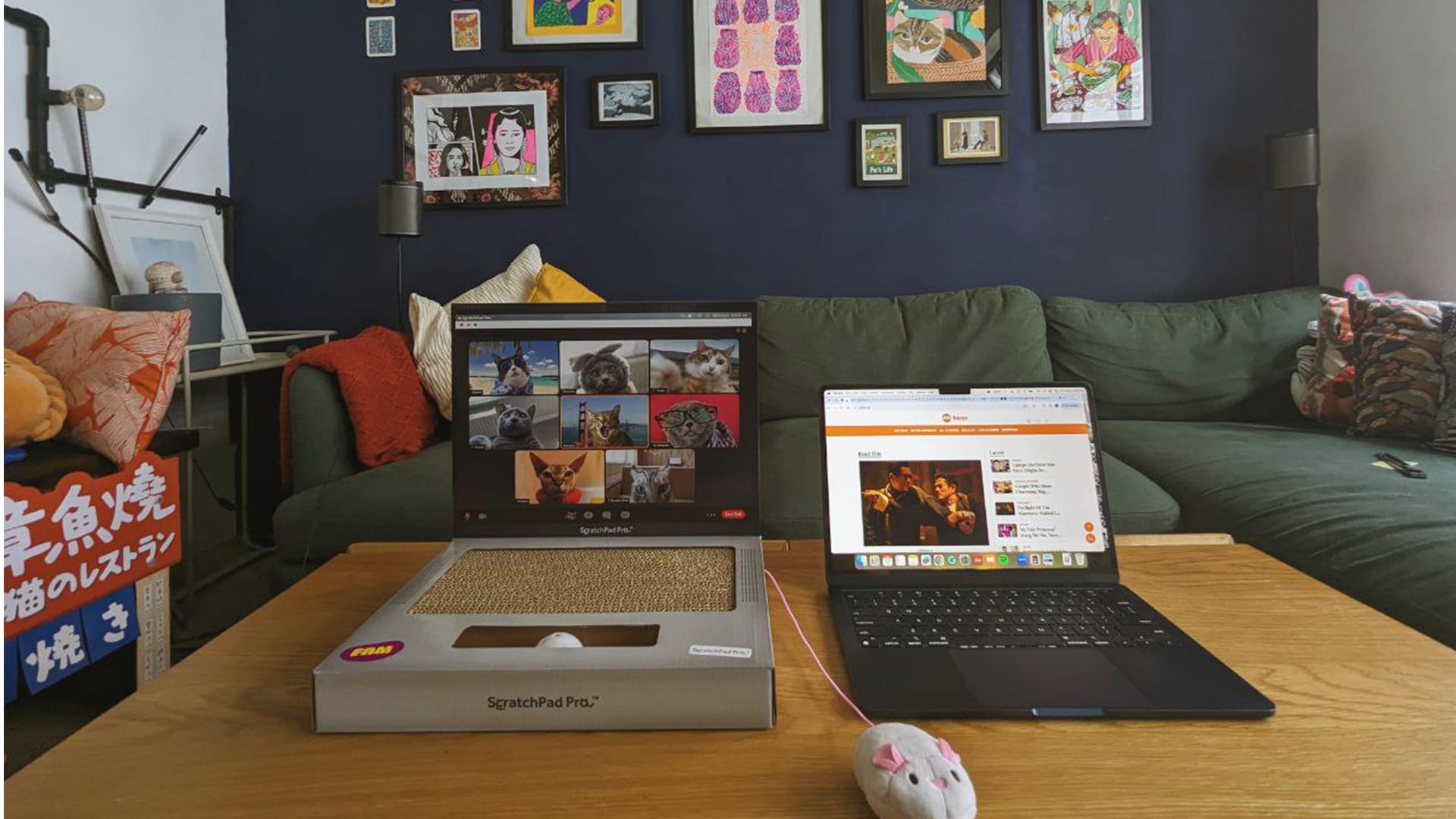 This Laptop For Cats Went Viral, So I Got My Cats To Test Out The ...