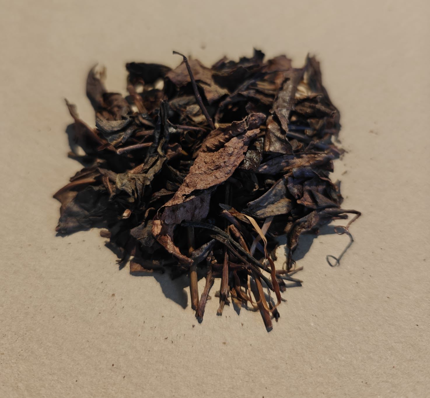 19-Year-Old Sells ‘Duck Shit Tea’ At Cute Tea Kiosk That Opens On ...