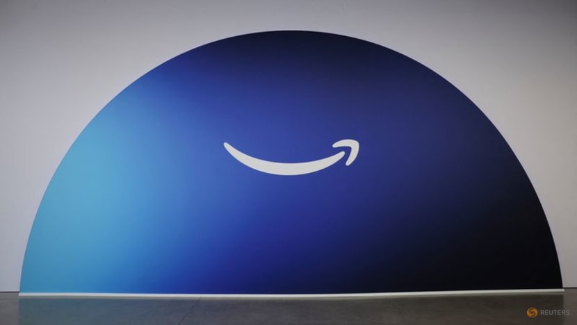 Amazon's AWS forms new group focused on agentic AI - CNA