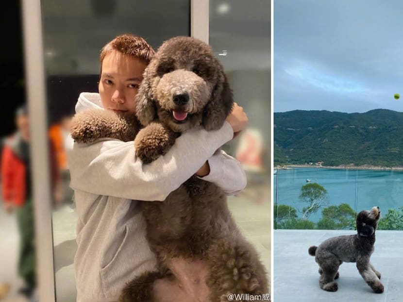 We Got A Glimpse Into These Celebs' Homes During Circuit Breaker And ...