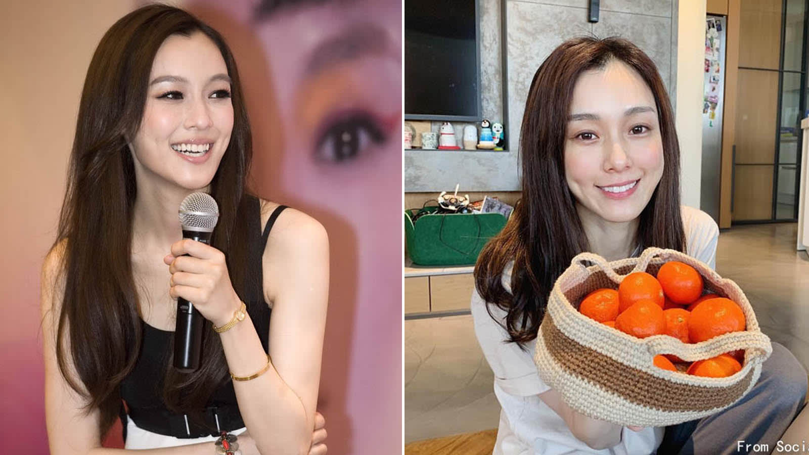 Christine Fan slammed for claiming that she is from Harvard - 8days