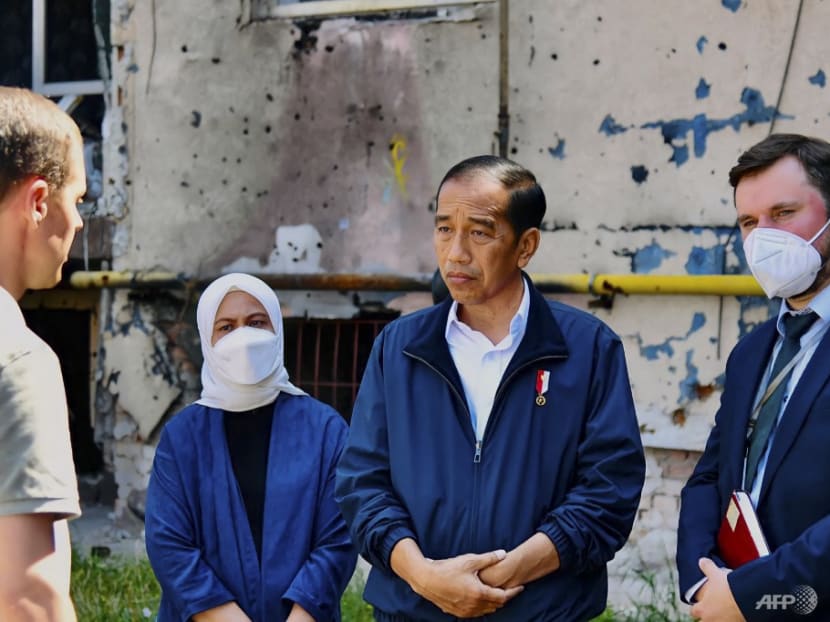 Commentary: Indonesia’s first lady diplomacy complements Jokowi’s G20 ...