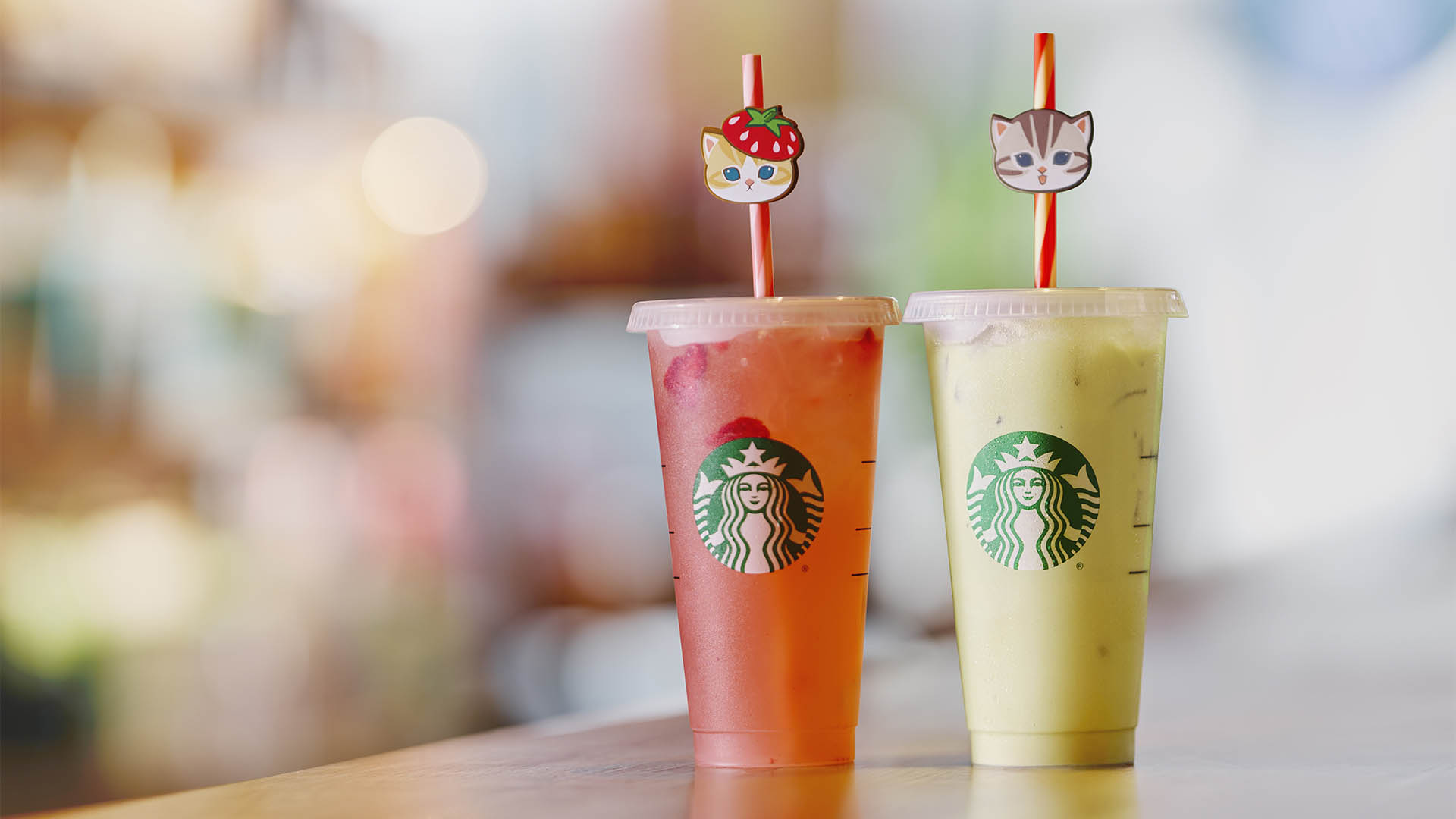 Mofusand & Starbucks Singapore Limited Edition Collection Launches Aug ...