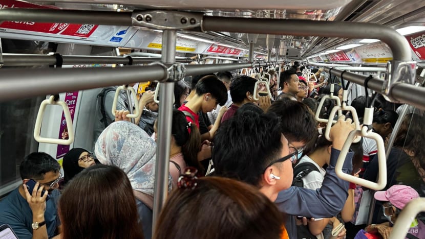 Train fault on Circle Line causes rush-hour delay to MRT services - CNA