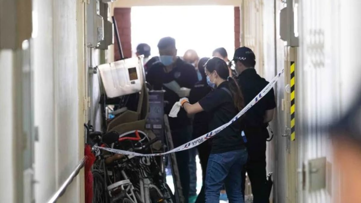 Lelaki didakwa bunuh penyewa tinggal sebumbung dengannya di Redhill direman lanjut bagi ...