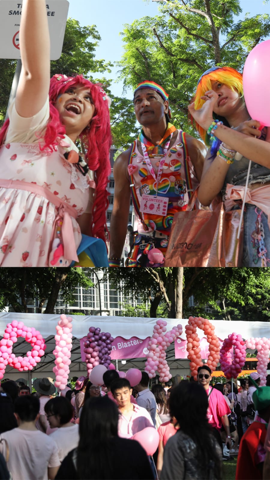 Thousands show up at Hong Lim Park for 18th Pink Dot rally - CNA