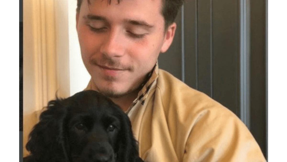 Brooklyn Beckham's new dog - 8days