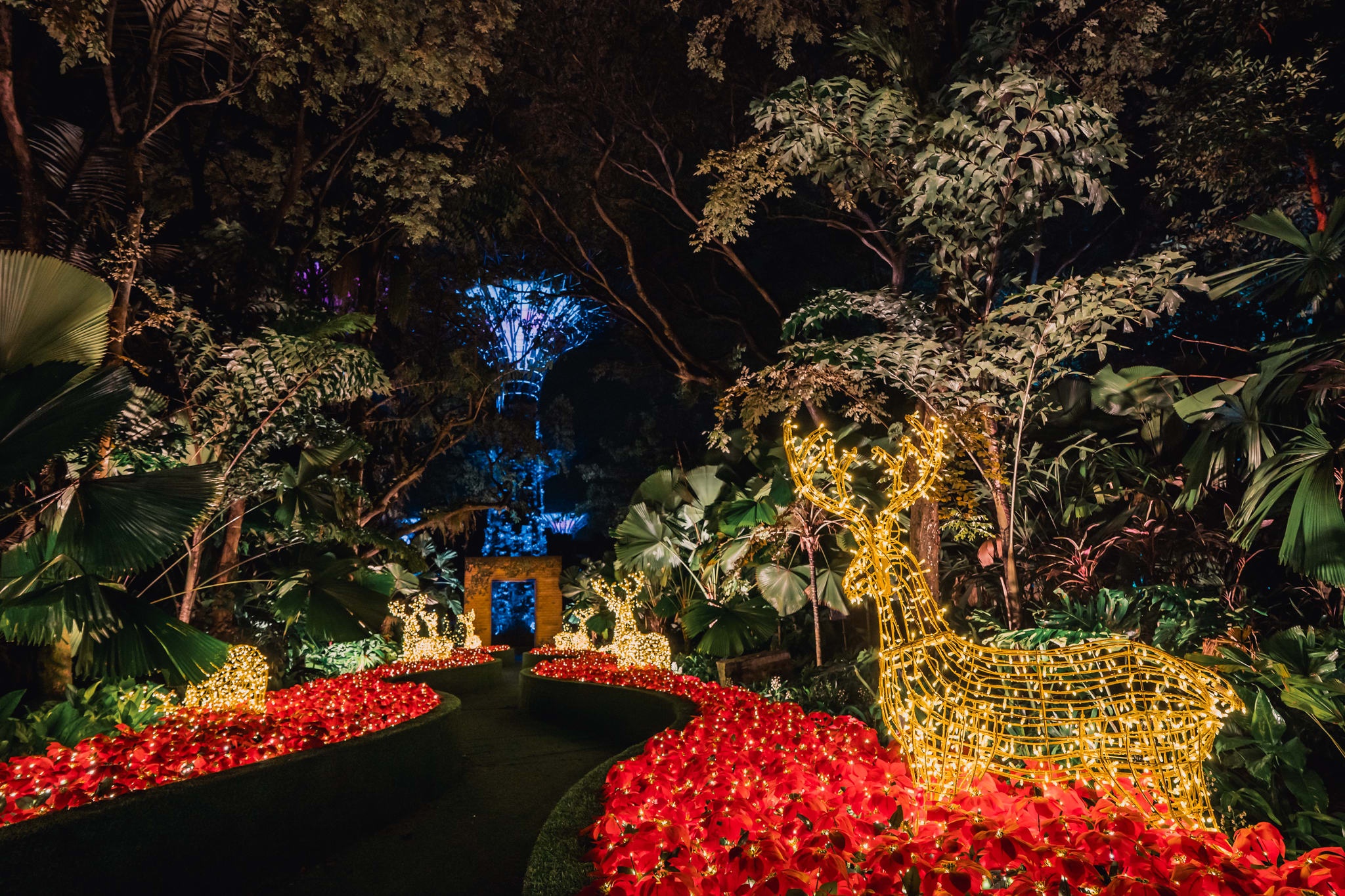 新加坡圣诞打卡攻略！9大主题乐园、嘉年华，一起坠入梦幻节庆季！ - vibes by 8world