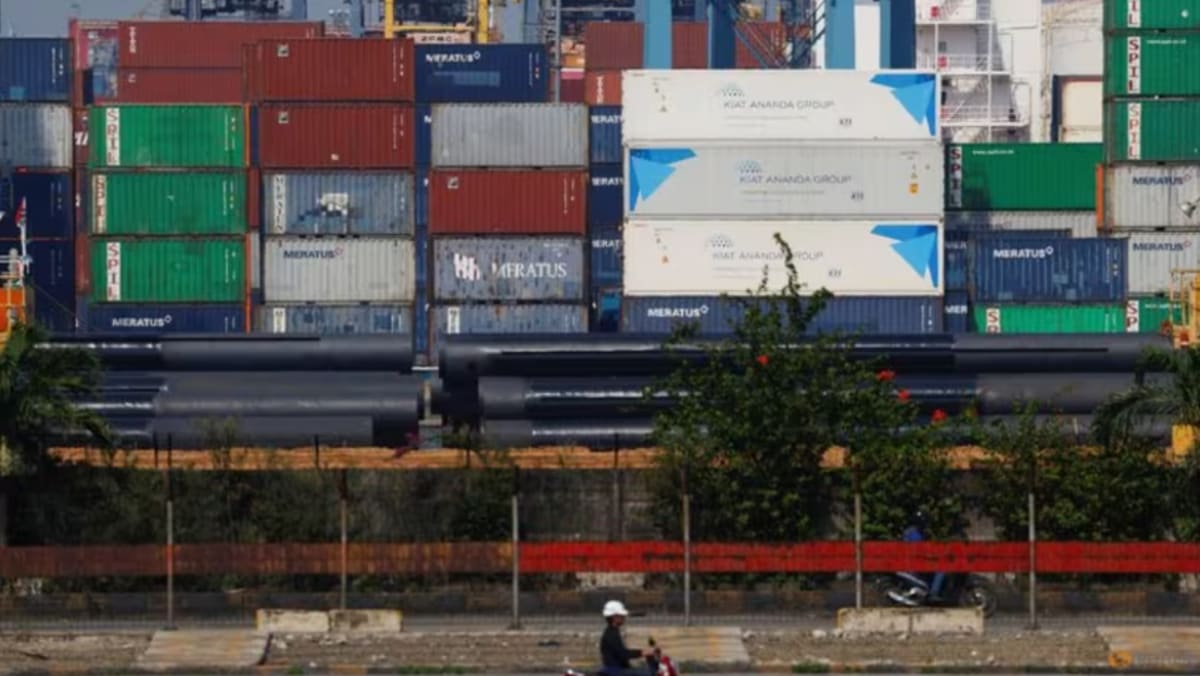 Indonesia longgarkan sekatan import menjelang tarikh akhir rundingan tarif Amerika Syarikat ...