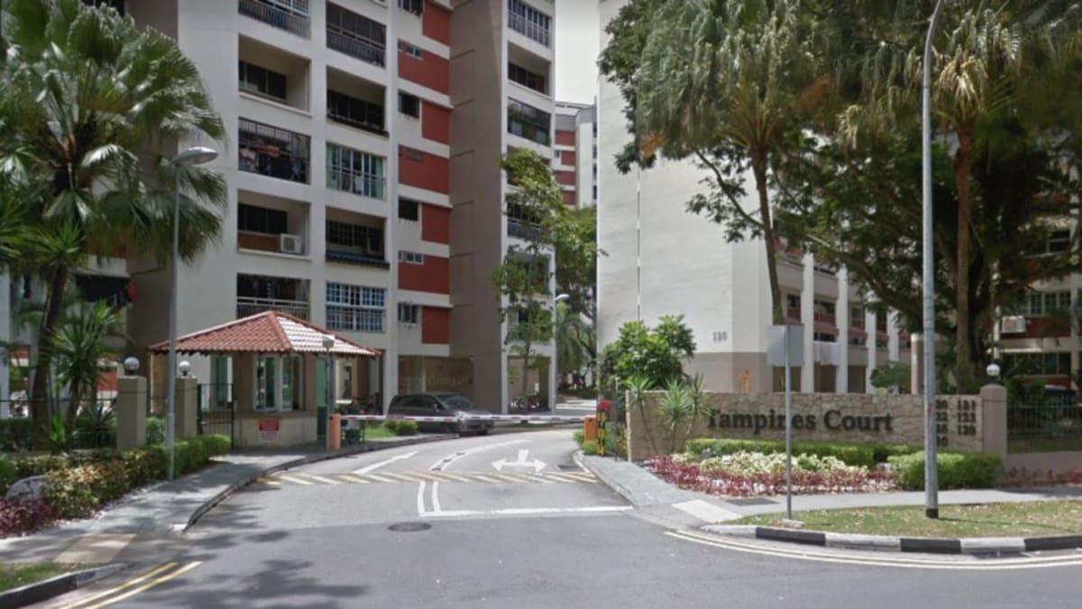S$970m Tampines en-bloc deal poised to be biggest in a decade - TODAY