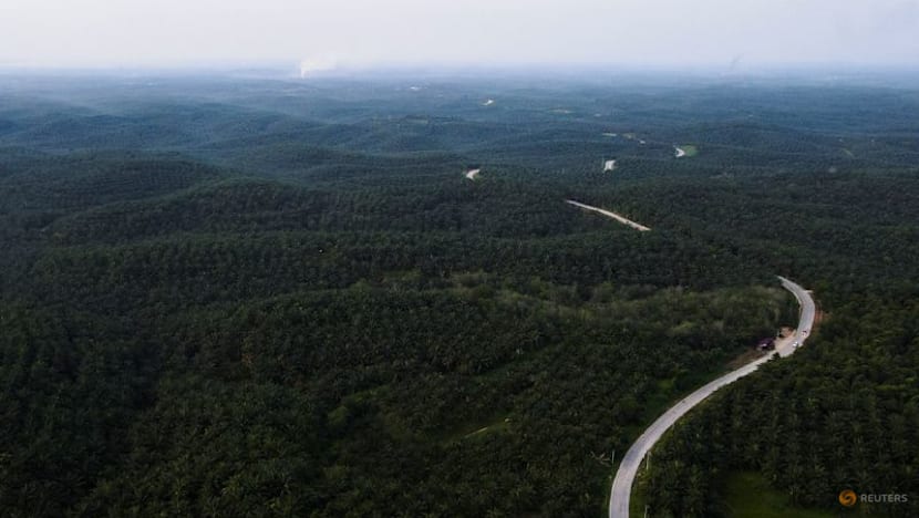 Indonesia scraps plan to introduce B50 biodiesel this year, will raise ...