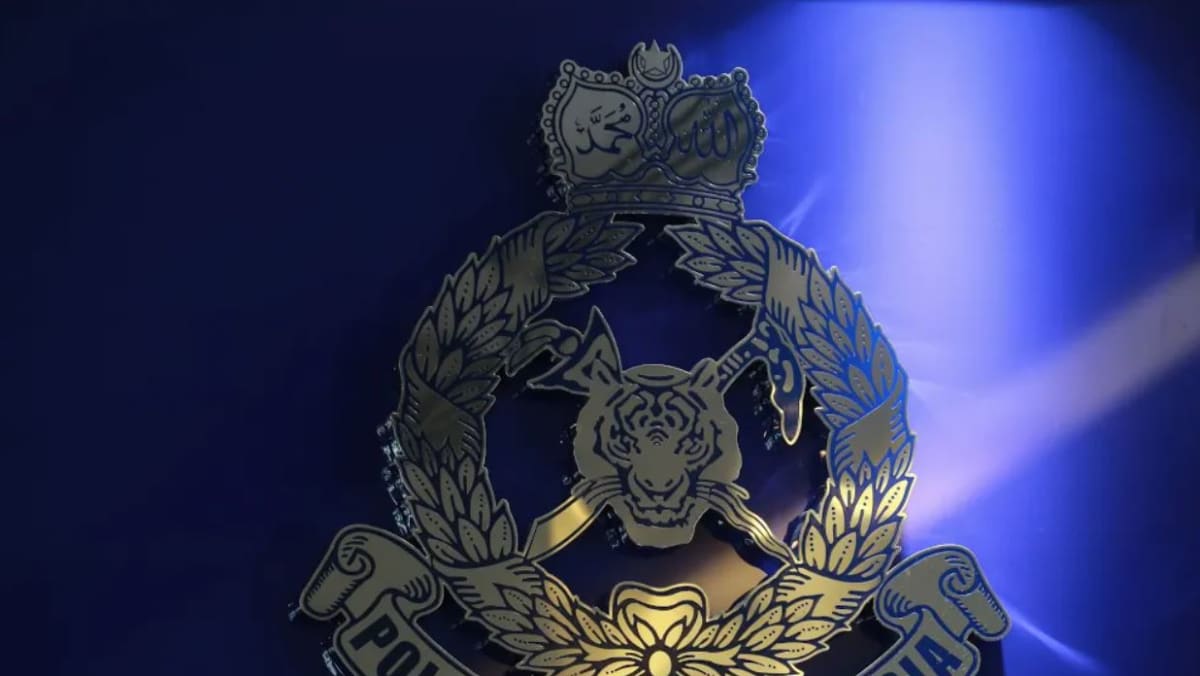 Malaysia on path to becoming gangsters’ paradise, senior police ...