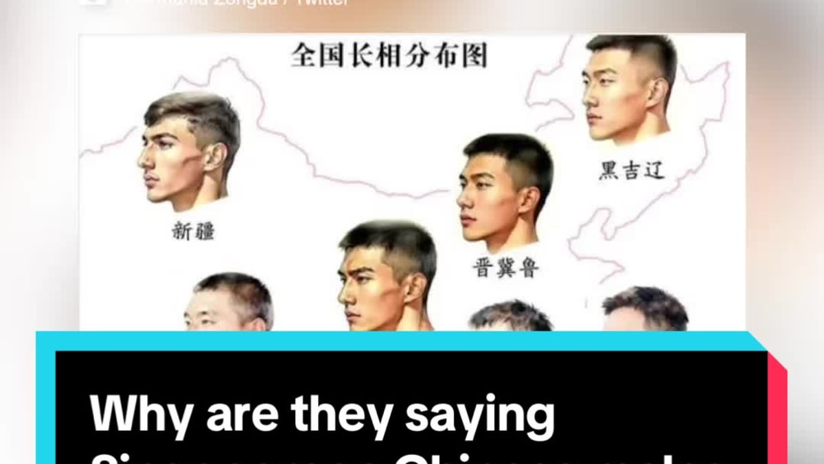 New update to viral Chinese face type illustration! sg - 8days