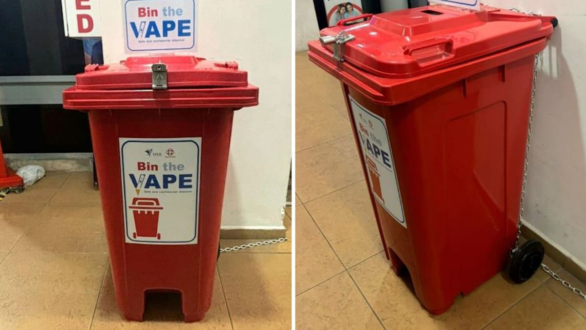 'Vape bins' to be placed across Singapore; no penalties for ...