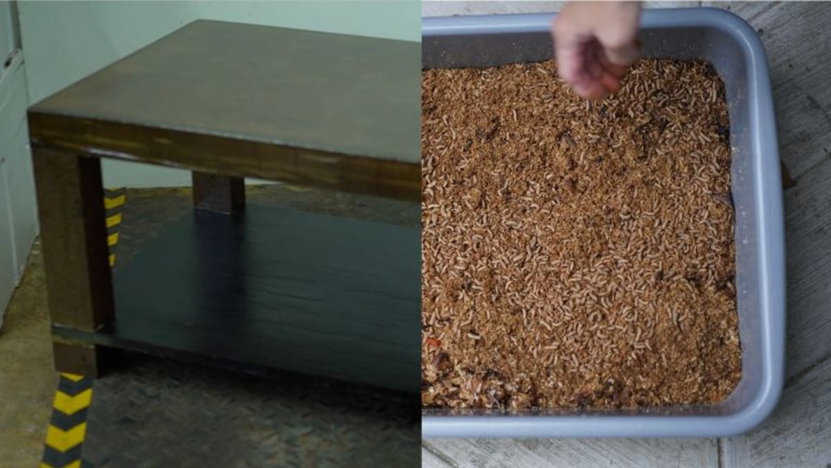 Lalat dan perabot: Huraian inovatif masalah sisa makanan S’pura ...