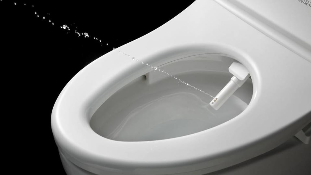Ode to the glorious Japanese toilet CNA