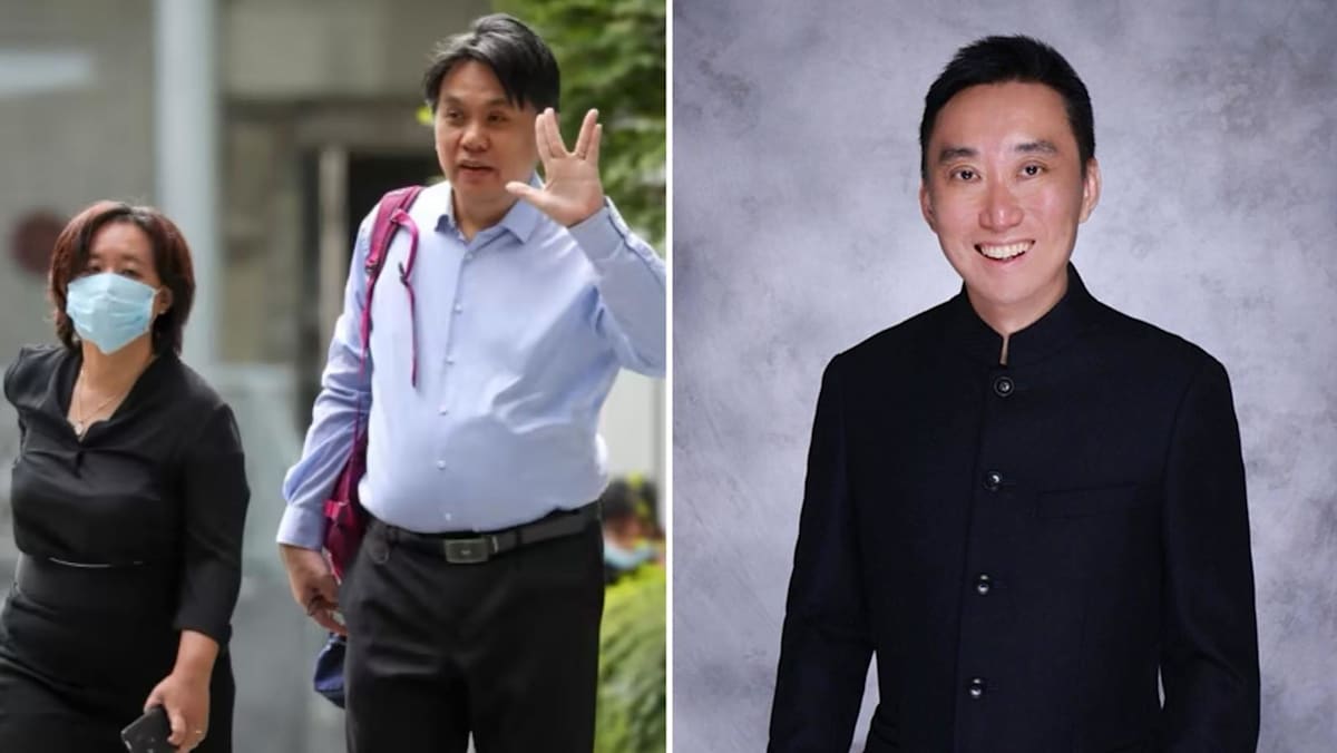 Court dismisses Iris Koh, Raymond Ng's attempt to get former NMP to remove allegedly defamatory ...