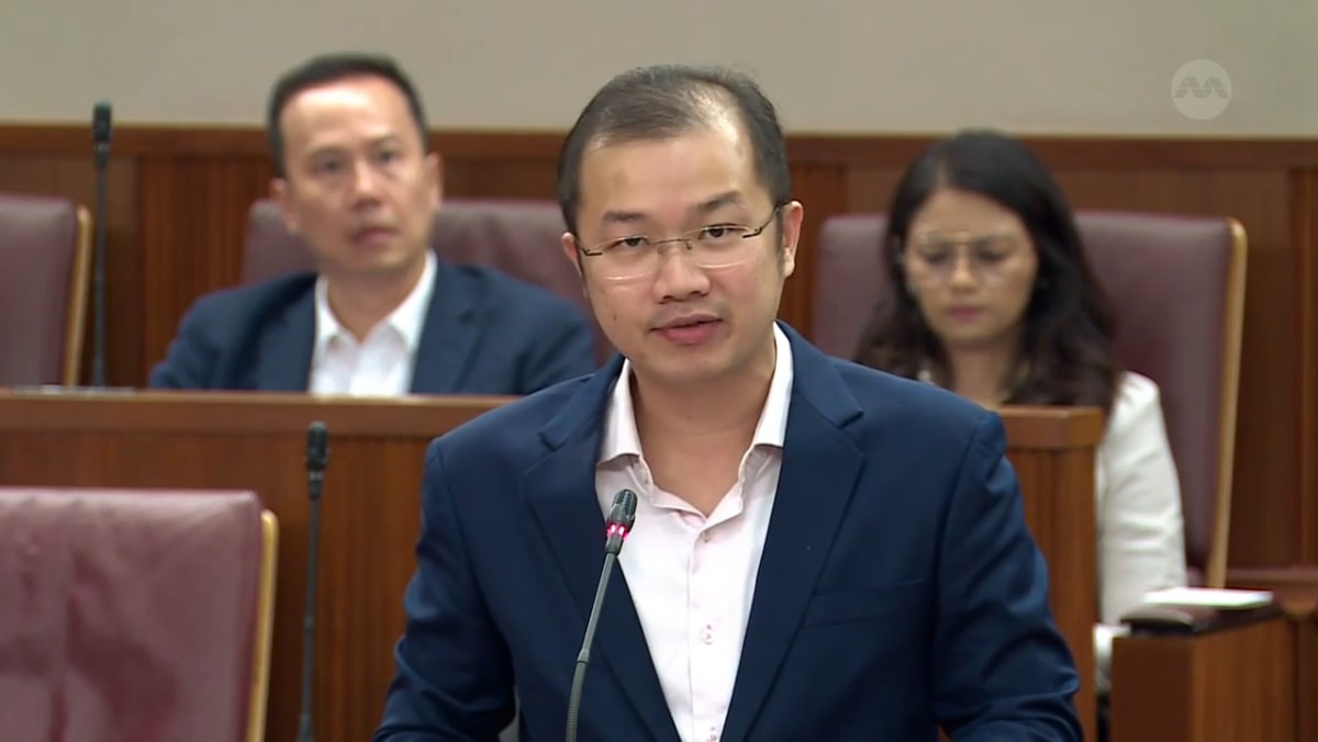 Louis Chua on Law Enforcement and Other Matters Bill - CNA